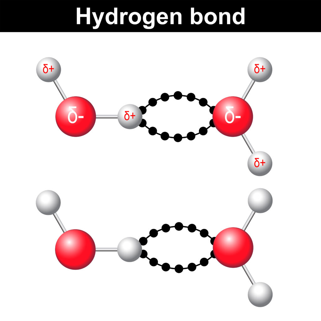 Acid-Base Physiology - Washington Anesthesia Partners